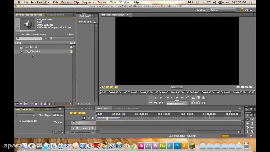 Automated Subtitles in Adobe After Effects and Premiere CS4 and up