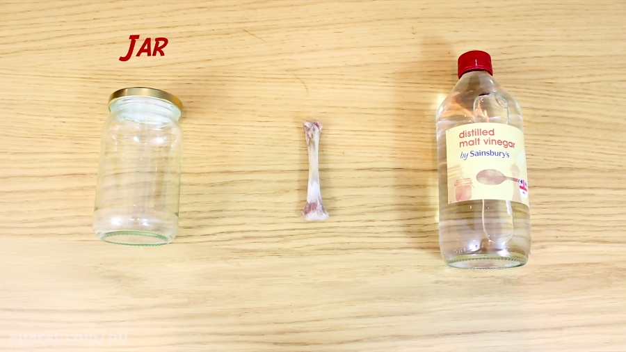 Magic Bendy Bone - How to Bend a Chicken Bone Science Experiment