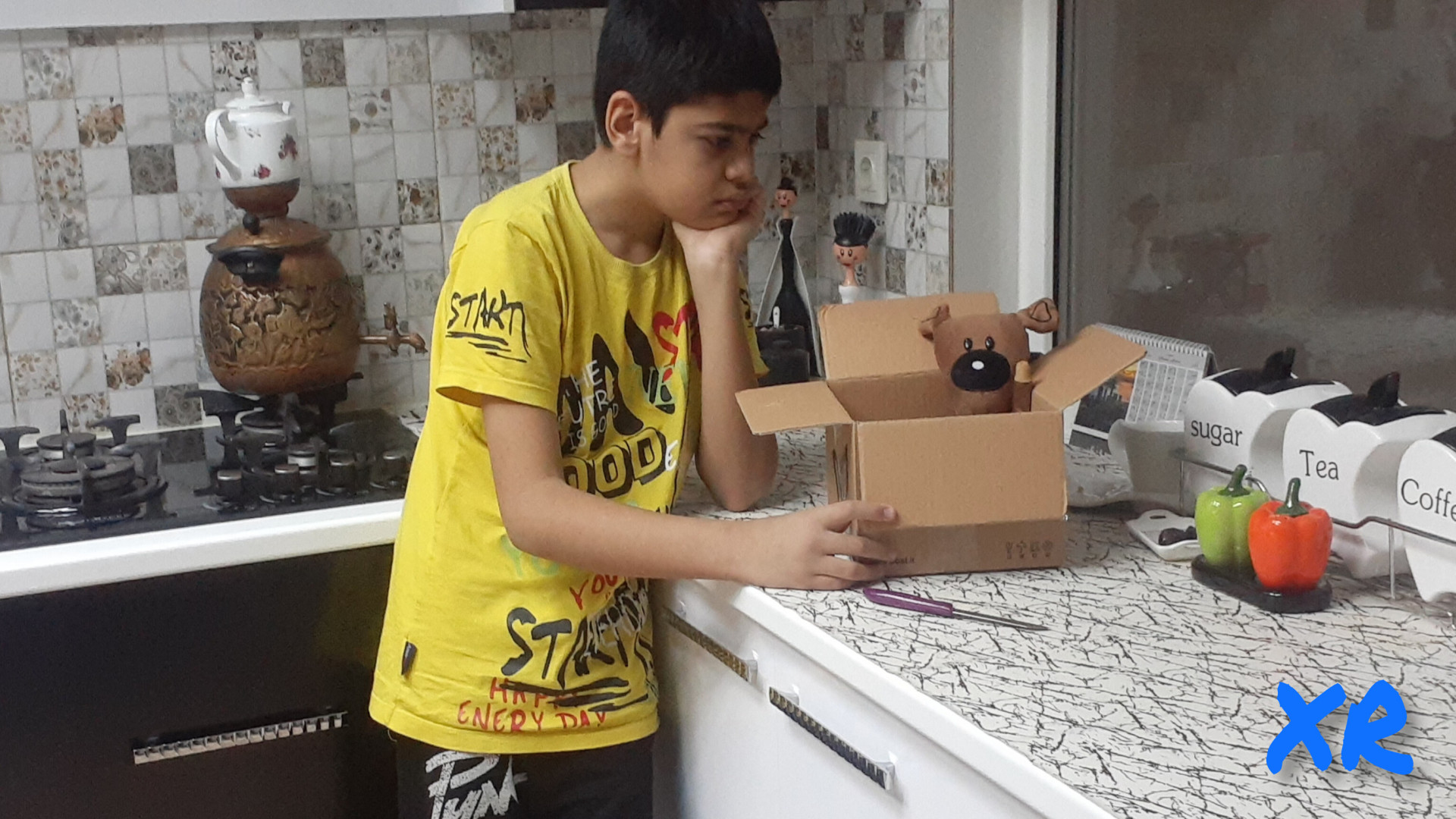 سریال ماجرا های تدی. این قسمت جعبه ی جدید