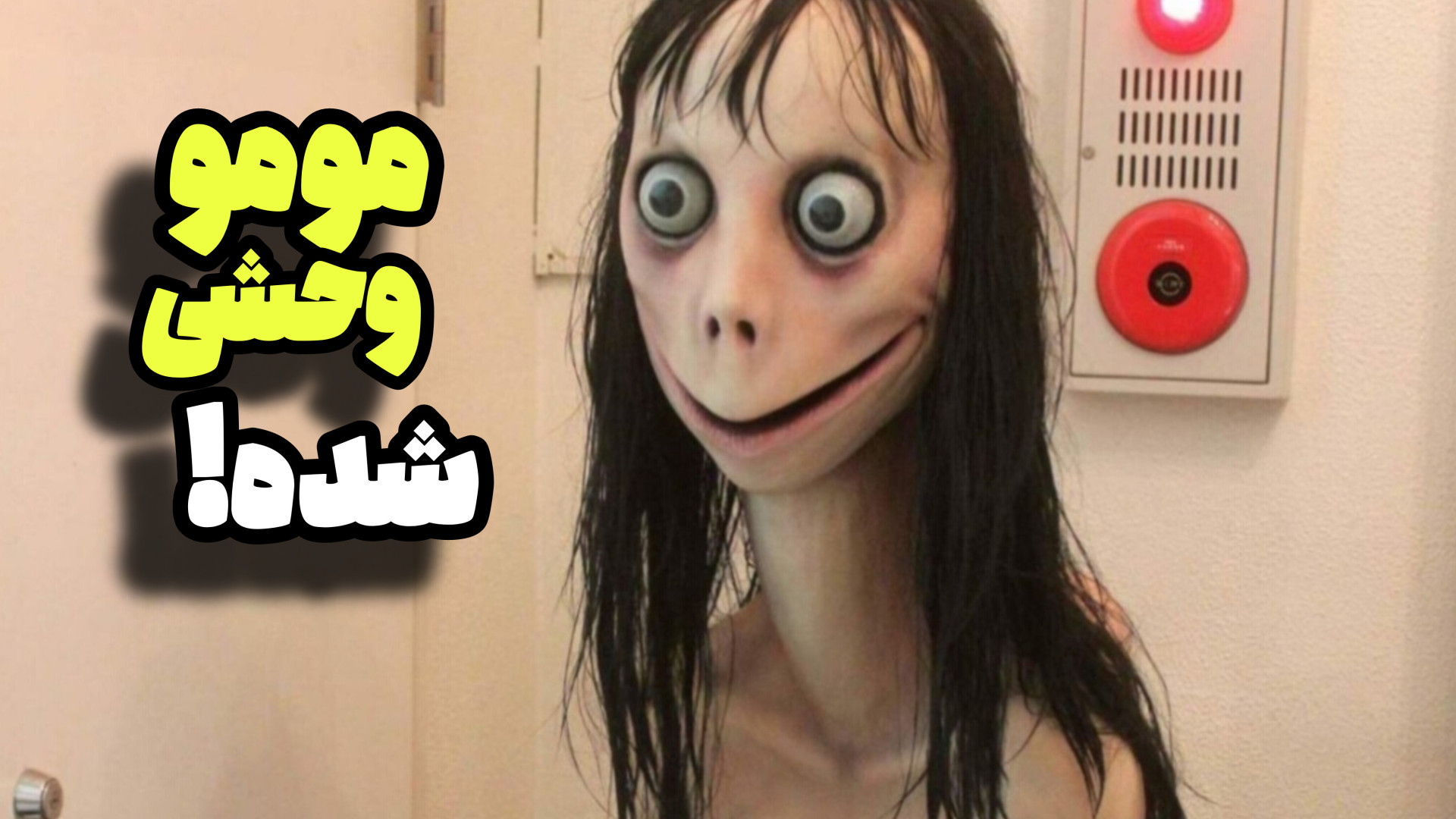 مومو پیدا شده!! مومو برگشته !! مومو وحشی شده است