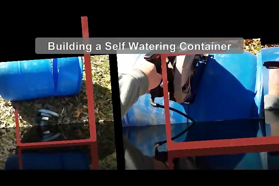 DIY - How to Build a Self Watering Container