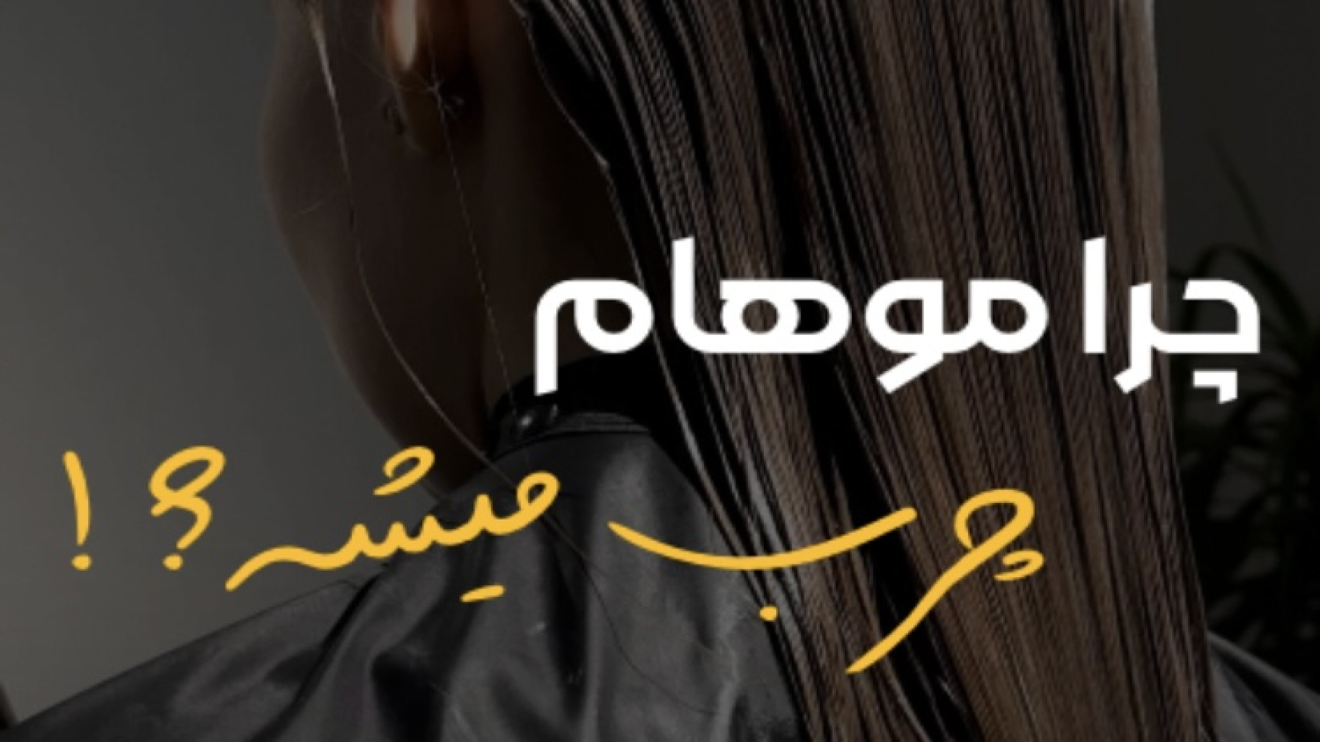 دلایل زود چرب شدن مو ها فیونیا