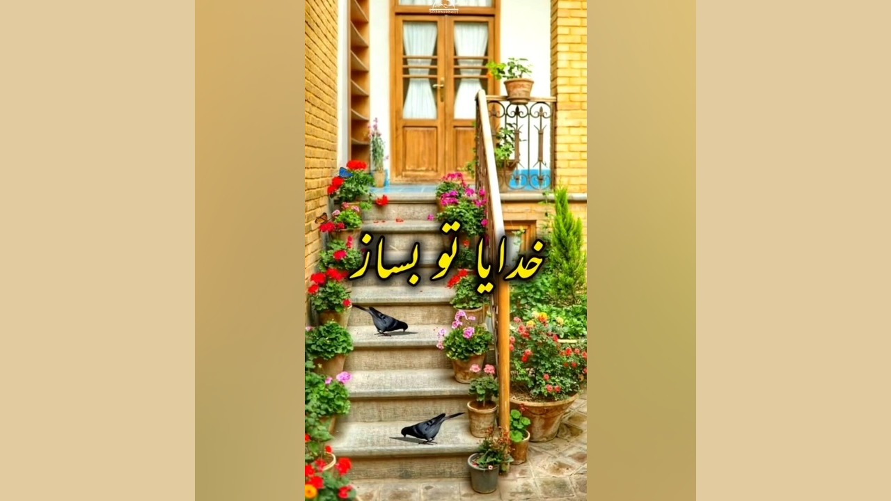 کلیپ صبح بخیر / صبح به خیر و برکت