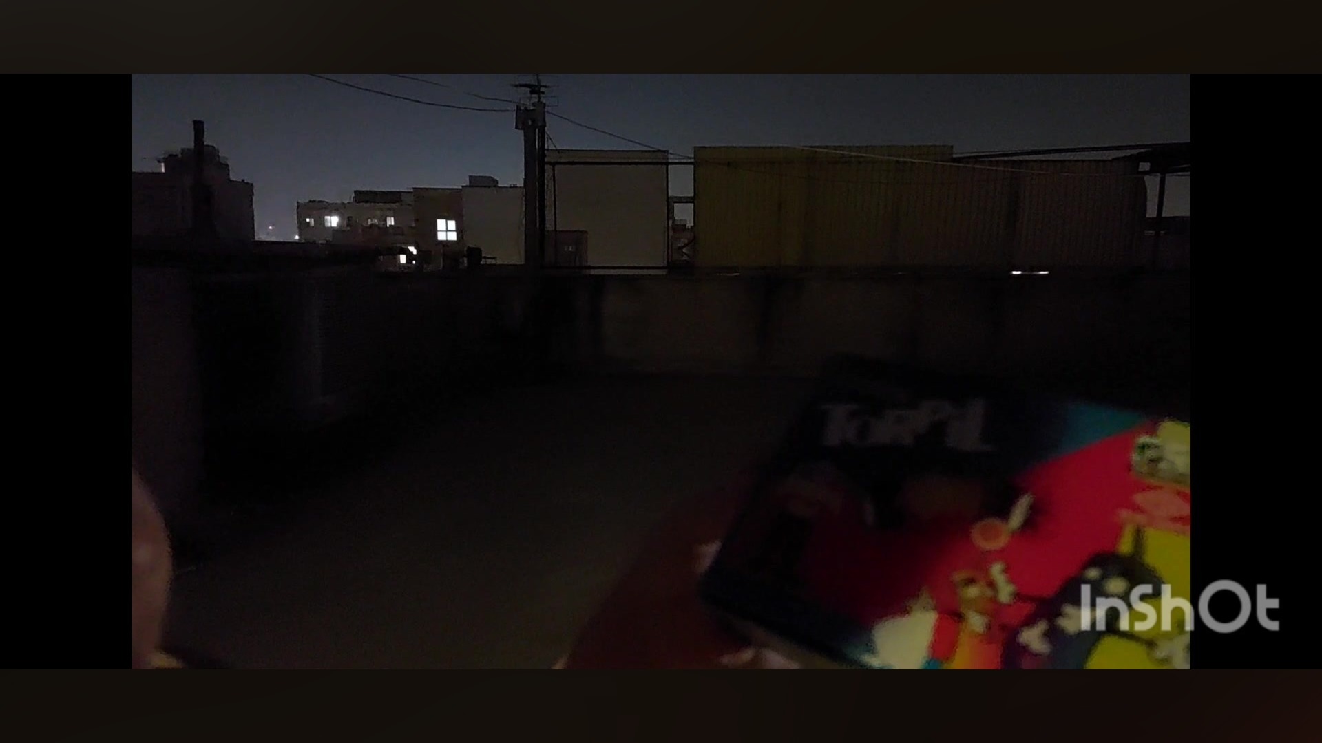 ماهی بادکونکی