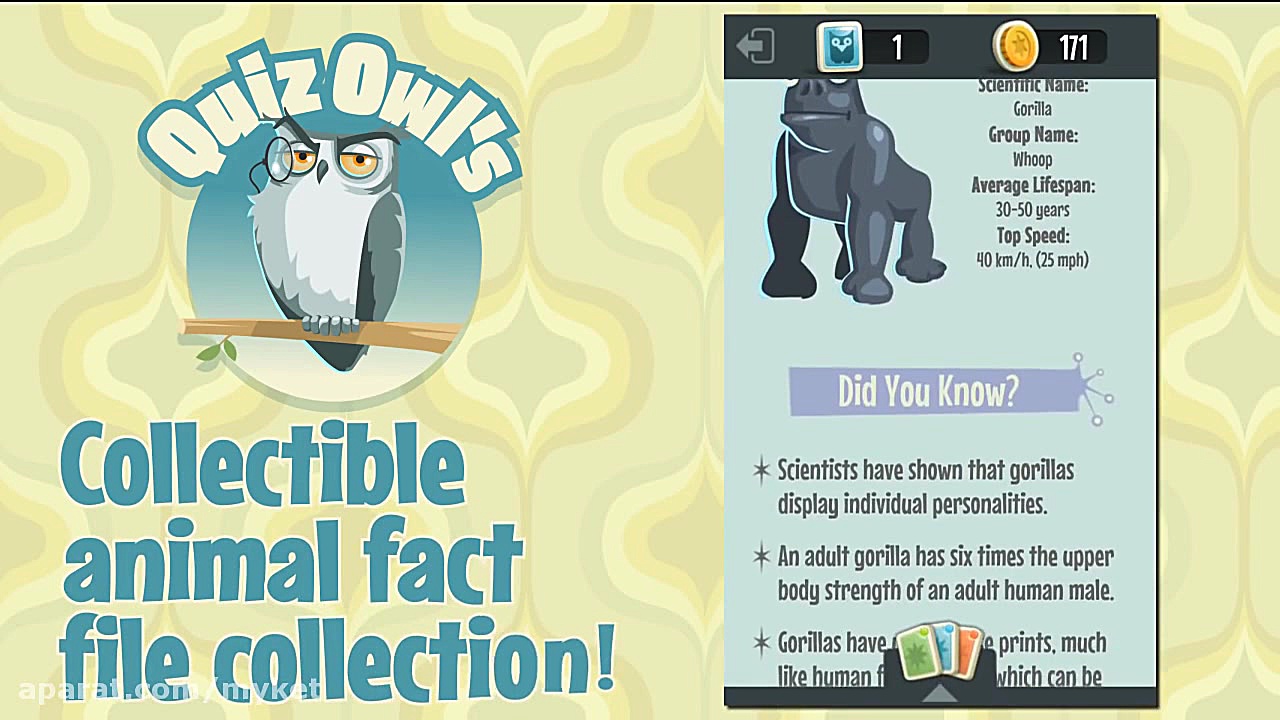 Owl Quiz Trailer V2 30 secs