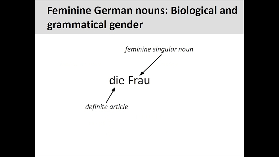 Feminine German nouns (5-Minute German Grammar)