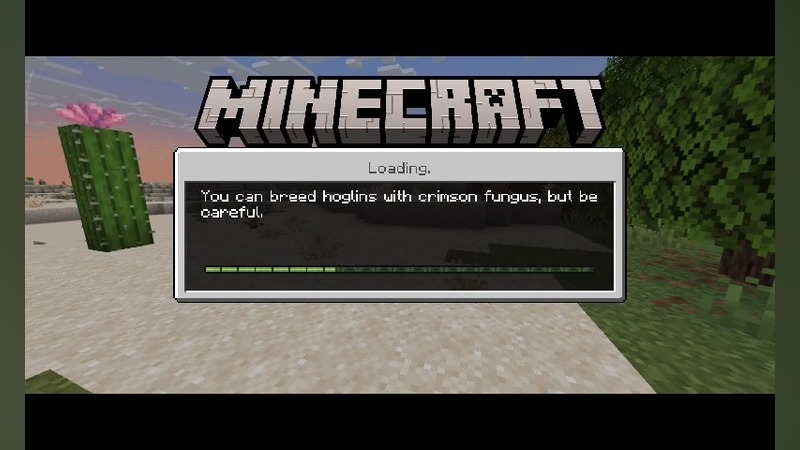 Minecraft / ماینکرافت چیست (قسمت دوم/نمایش مختصات)