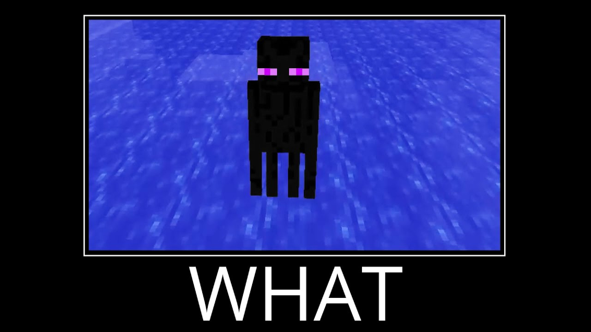WAIT WHAT (Minecraft) #2