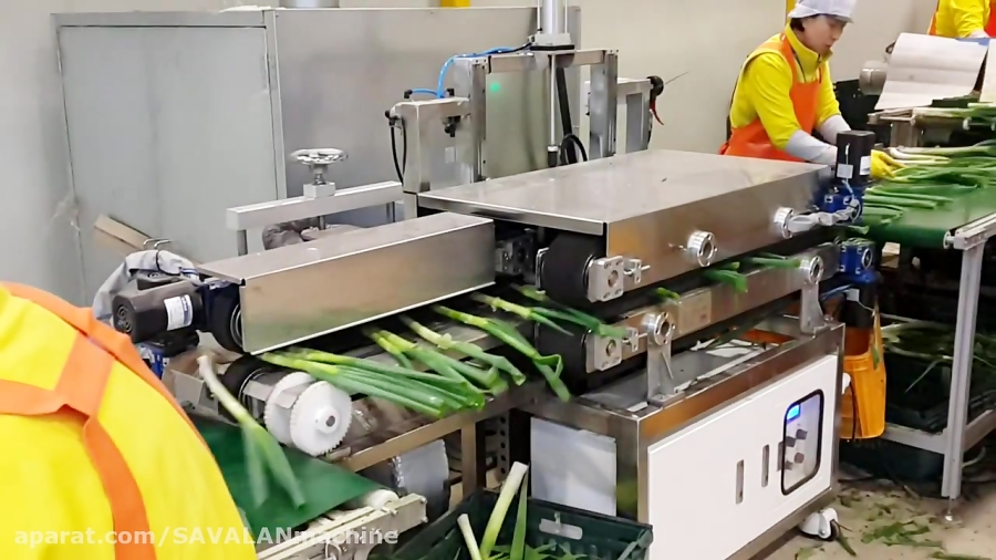 Spring onion machine, spring onion dry peeler(대파탈피기)