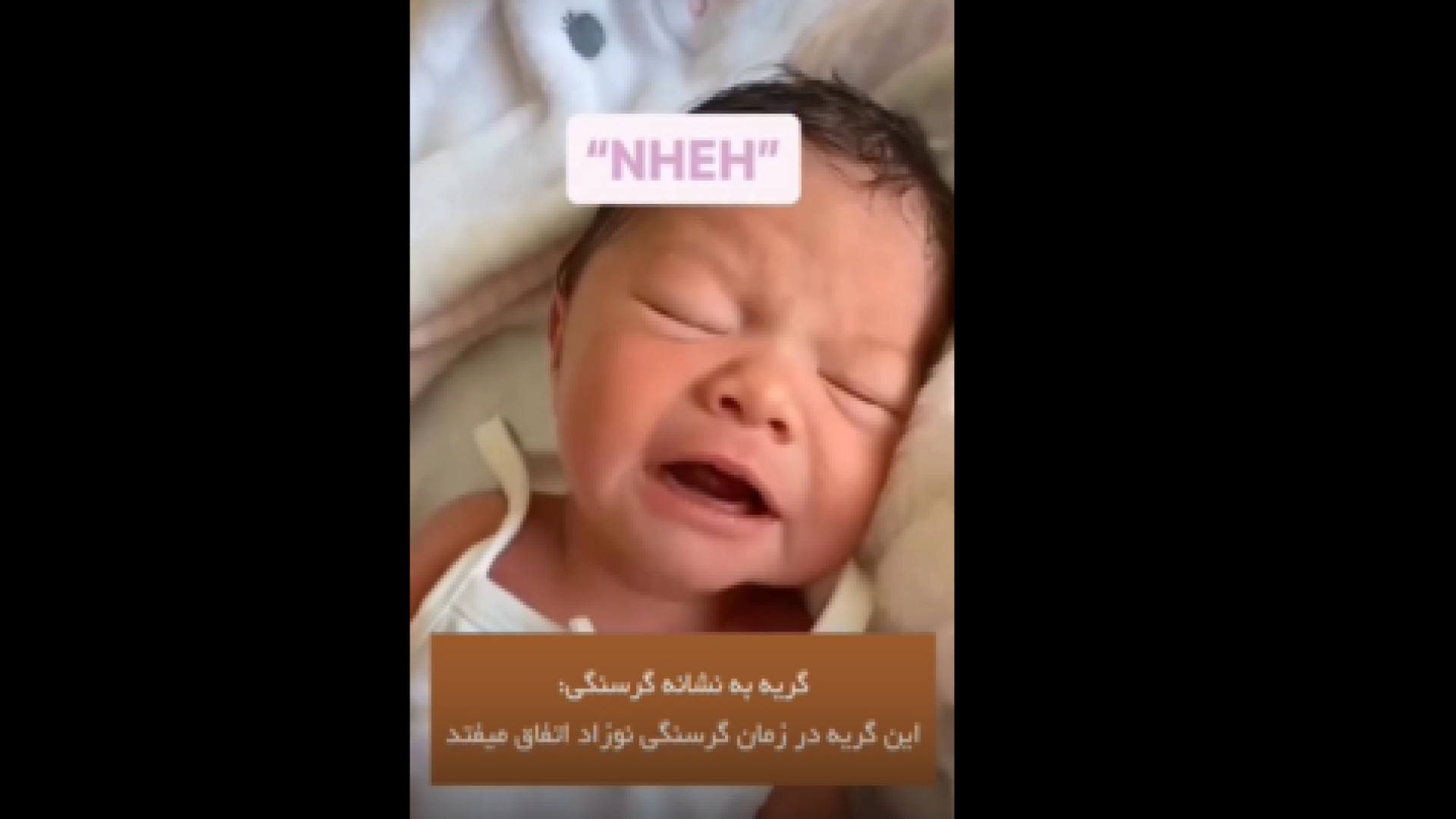 هر گریه‌ی نوزاد یه معنی داره!