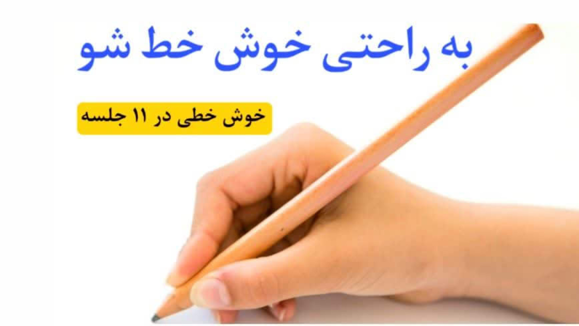 CS50 search project - week 0