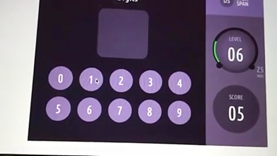 Cambridge Digit Span Test