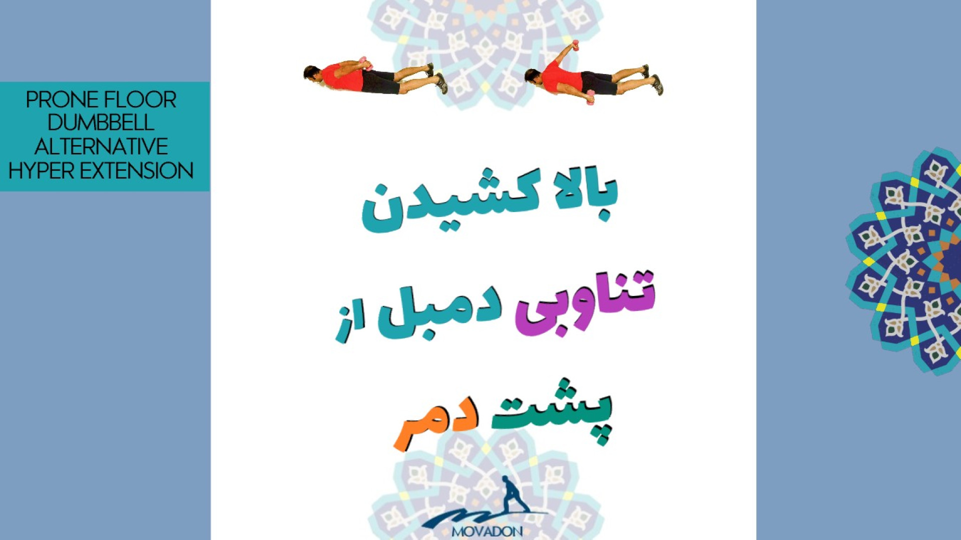 بالا کشیدن تناوبی دمبل از پشت دمر Prone Floor DB Alternative Hyper ...