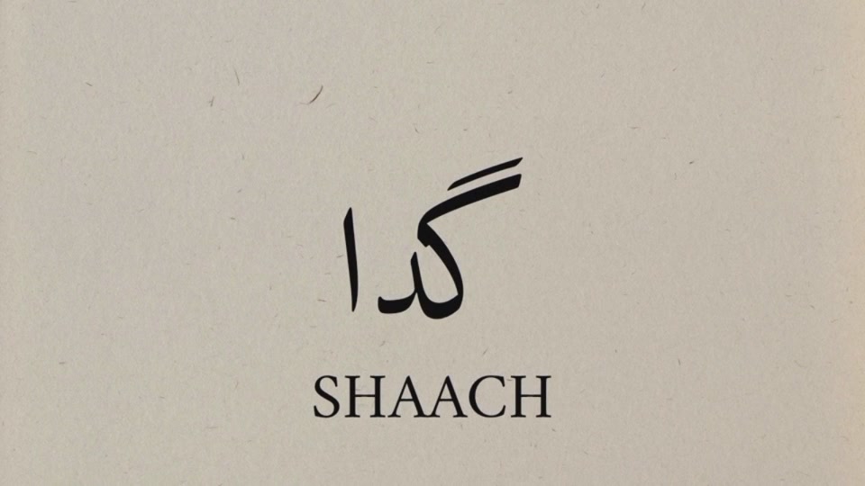 Shaach Geda