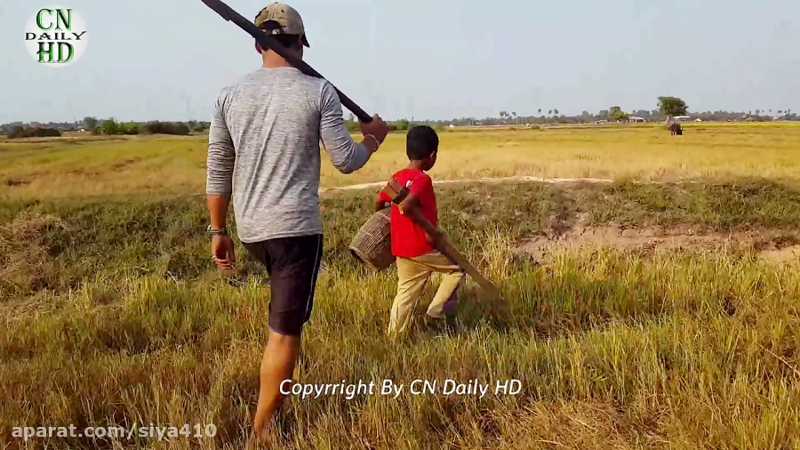 Wow! Two Boys Catch Biggest Snake In The Hole By Digging | How to Dig