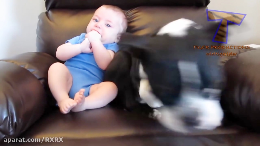 Funny babies are the hardest try not to laugh challenge - Super funny ...