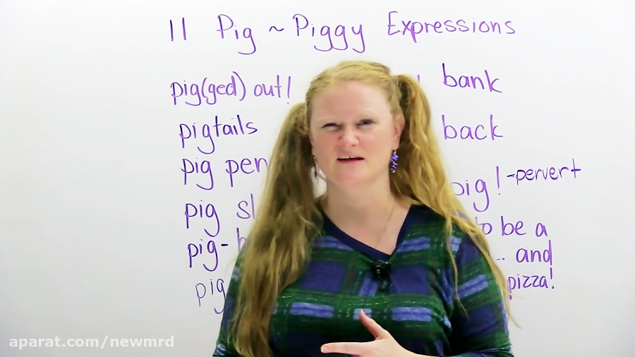 11 PIG expressions in English: "pig out", "pig tails", "piggy back"...