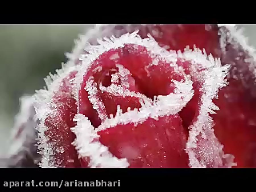 آهنگ غم انگیز مسعود صادقلو هوس باز
