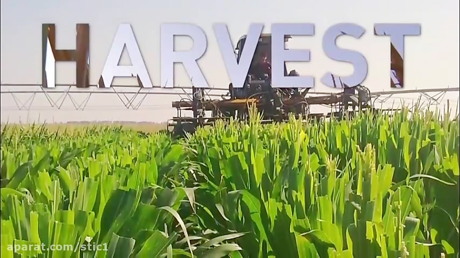 Monsanto seeds: The path from grower to farmer