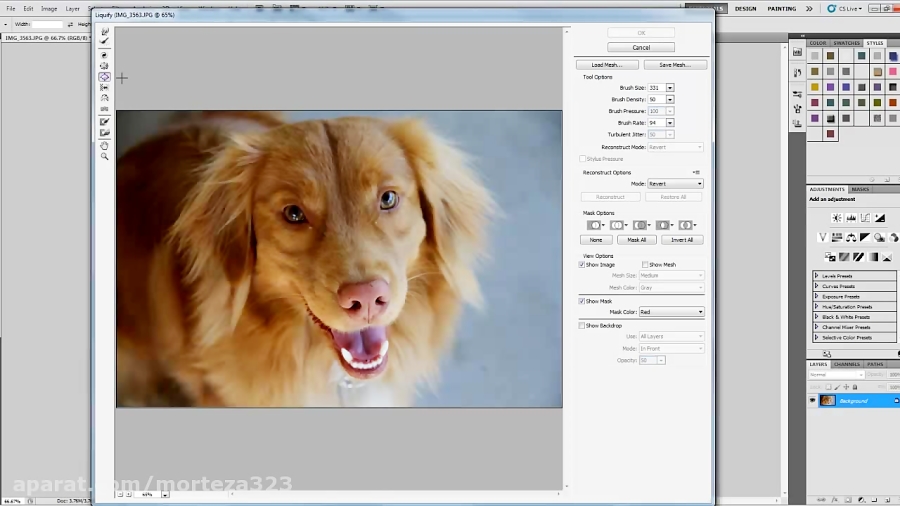 Photoshop Tutorial CS5: How To Create a Funny Dog Face