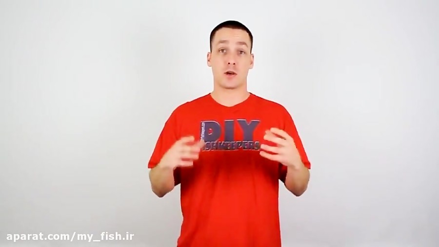 HOW TO: Overhead aquarium sump filter