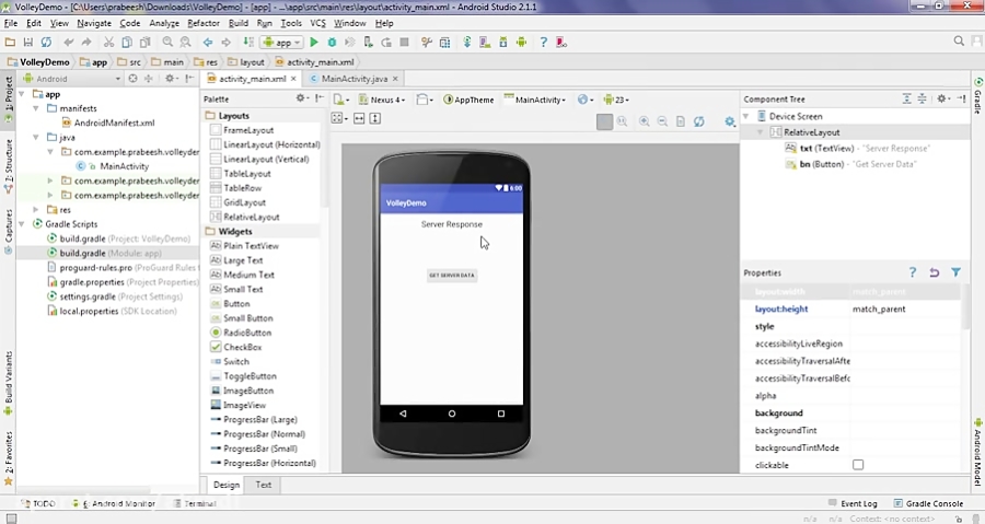 Android Volley -03- Setting Up a RequestQueue