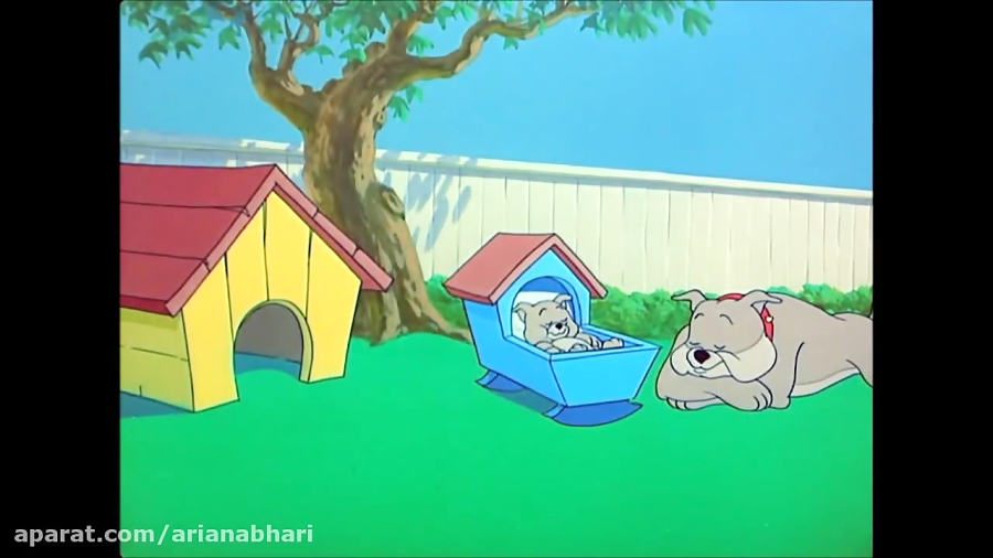 Tom and Jerry, 82 Episode - Hic-cup Pup (1954)