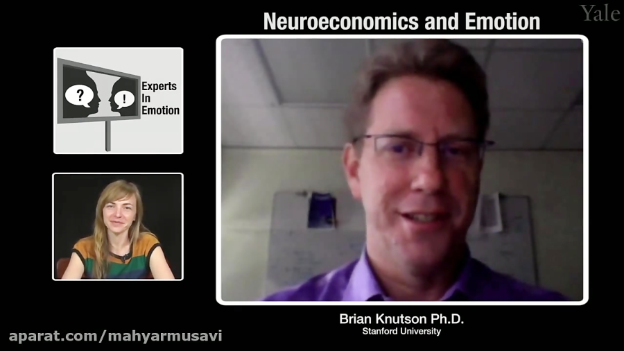 Experts in Emotion 13.3 -- Brian Knutson on Neuroeconomics and Emotion