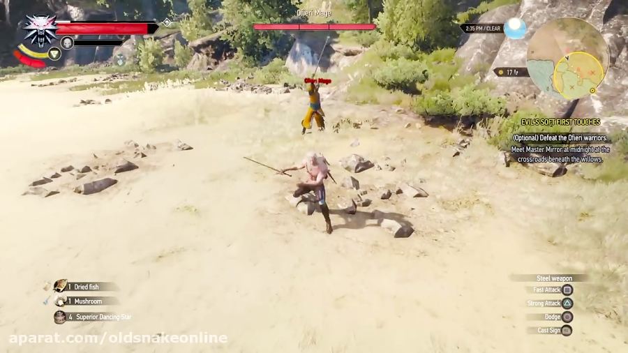 The Witcher 3 DLC- Ofieri Mage Boss Fight