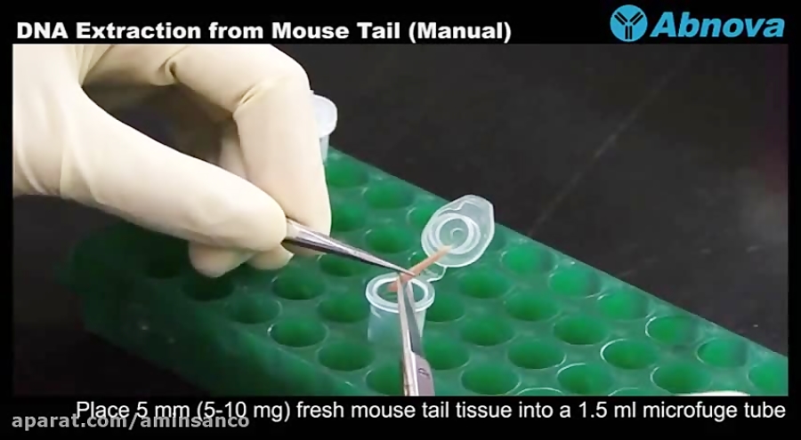 DNA Extraction from Mouse Tail Manual