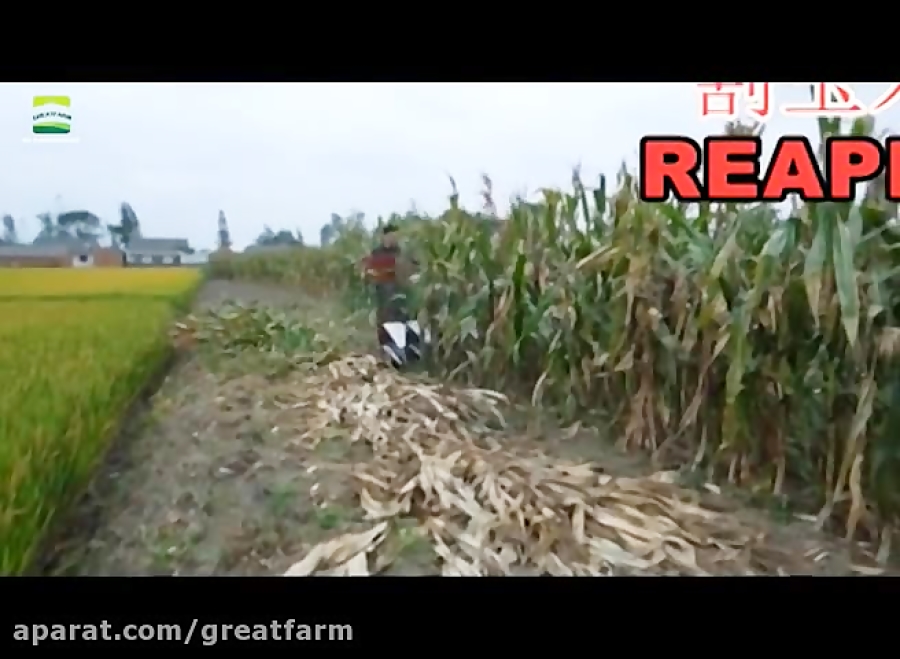 GREAT FARM corn/maize reaper machine