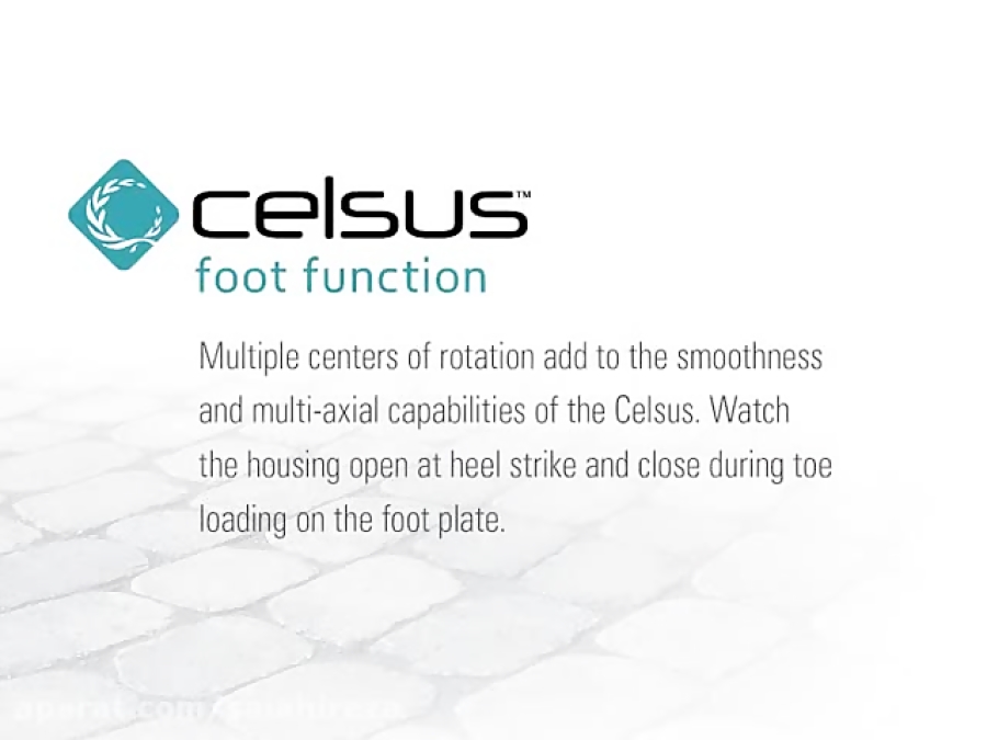Foot Function - Celsus