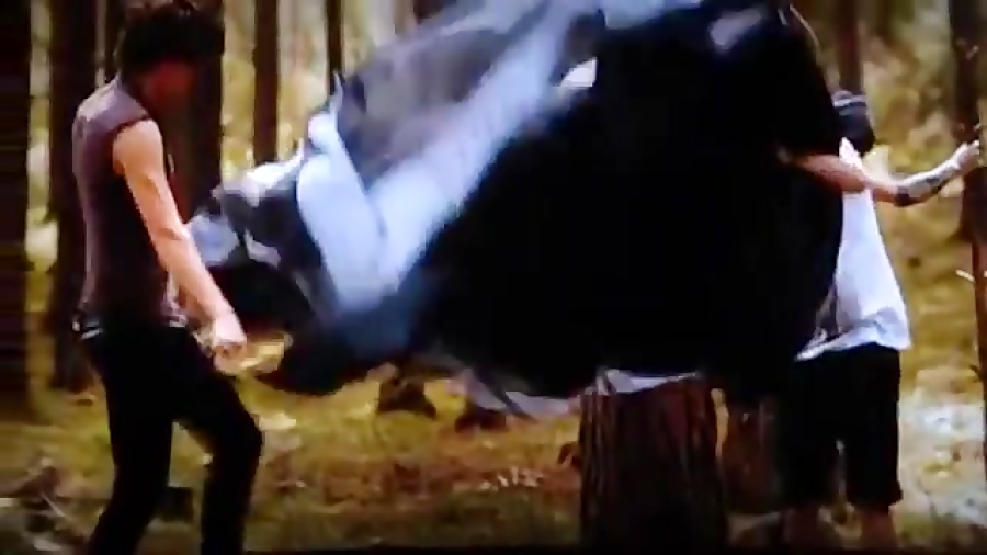 One Direction Camping - This Is Us