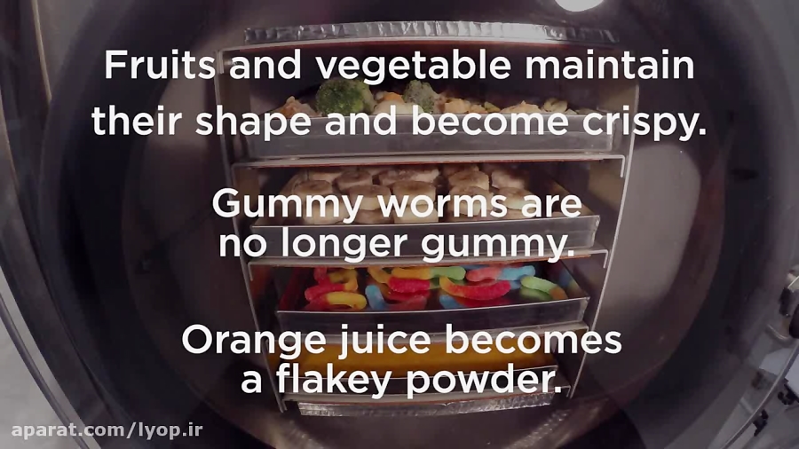 Freeze-Drying Various Foods - Time Lapse