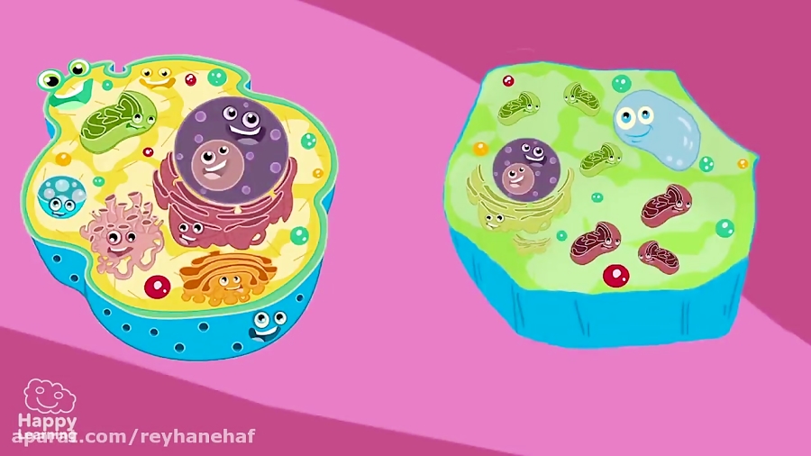 The Cell | Educational Video for Kids
