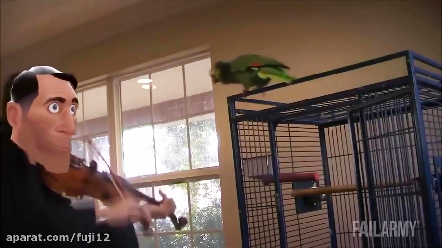 FailFort 22 (CANCER)