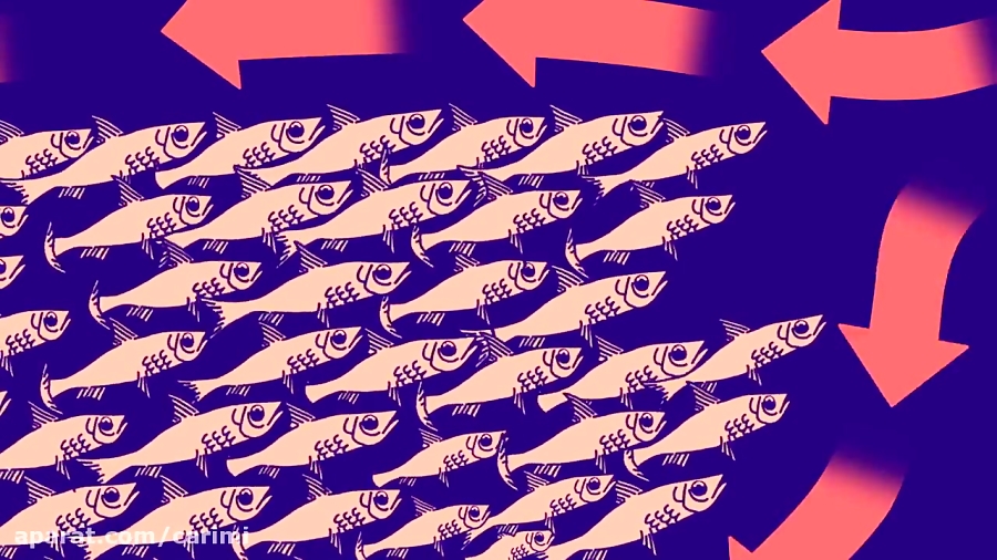 Why do animals form swarms? - Maria R. D'Orsogna