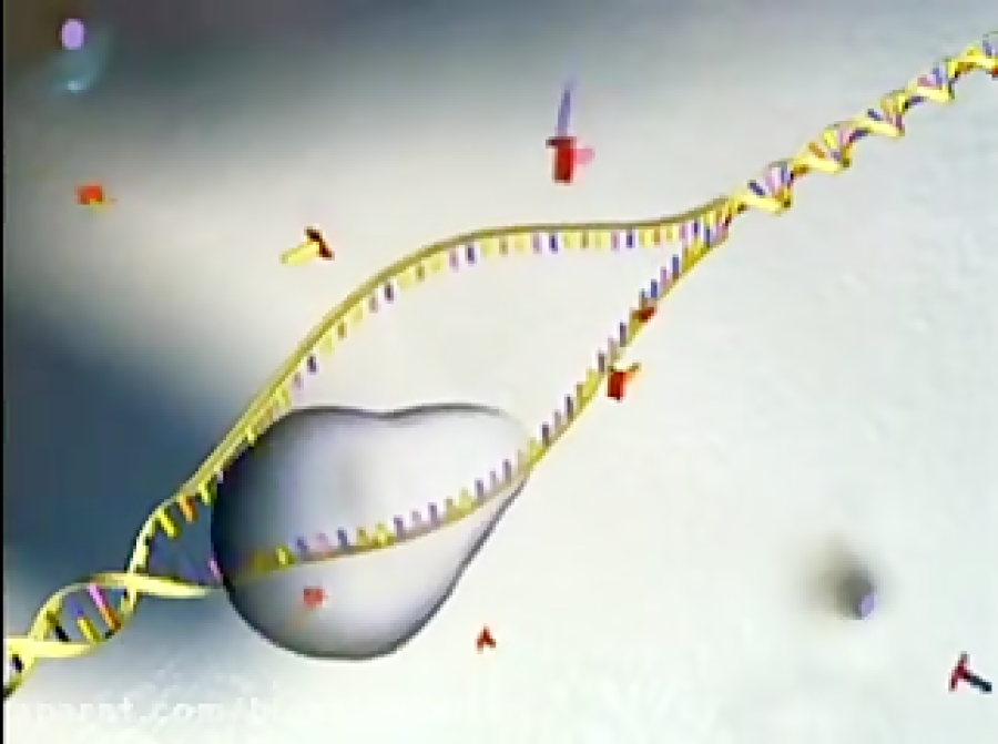 The Human Genome Project, 3D Animation