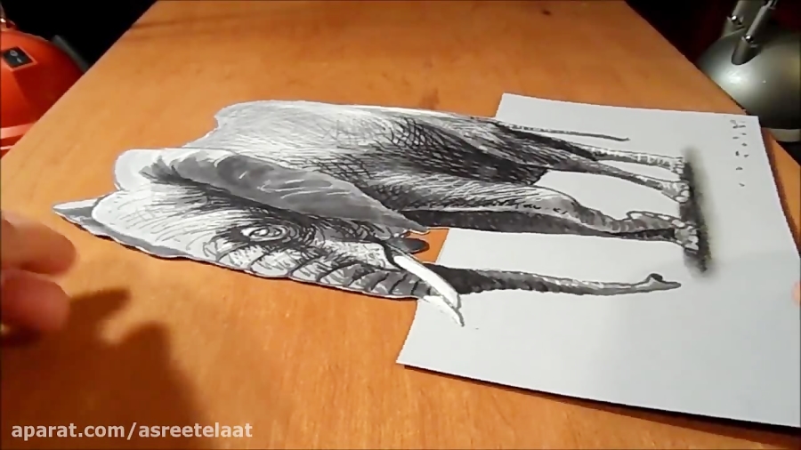 Drawing 3D Elephant - How to Draw 3D Elephant on Paper - Trick Art ...