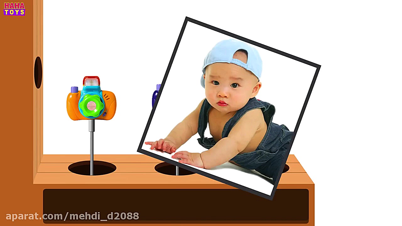 Learn Colors with Dog Xylophone Funny Animals Colors Videos for Kids ...
