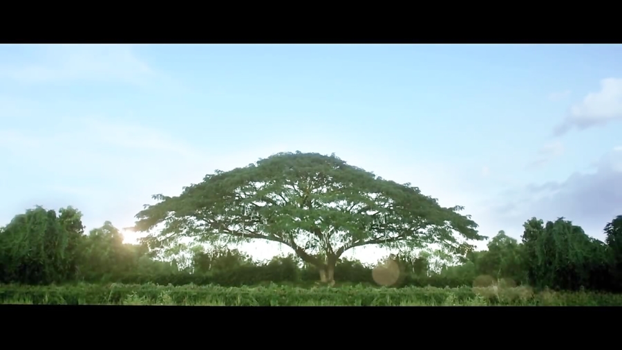 کلیپ تبلیغاتی پپسی | هارمونی