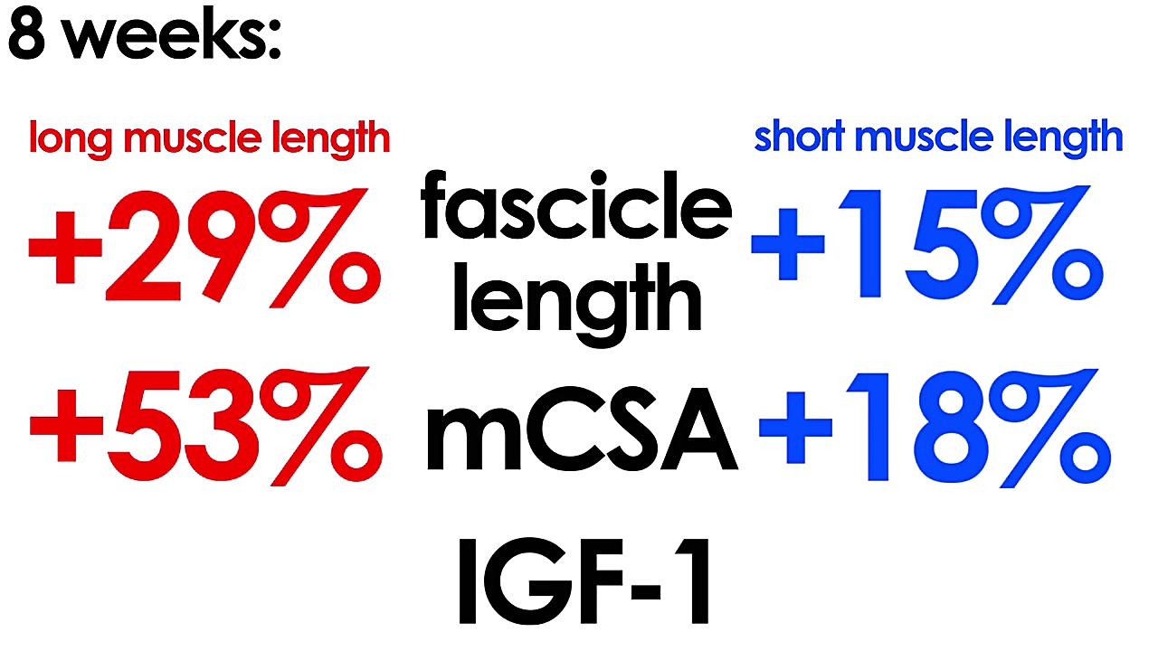 Partial Reps vs Full Reps