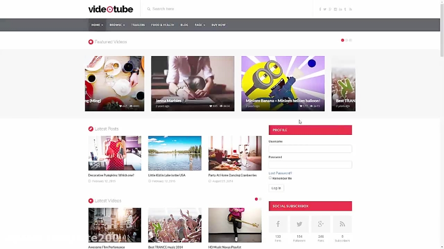 VideoTube - A Responsive Video WordPress Theme v2.2.7