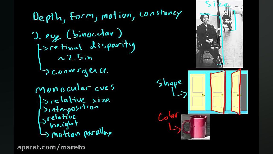 Visual cues | Processing the Environment | MCAT | Khan Academy