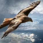 رفتن به یوتیوب (YouTube) با کامپیوتر (pc) یا لپ‌تاپ / بطور کاملاً رایگان